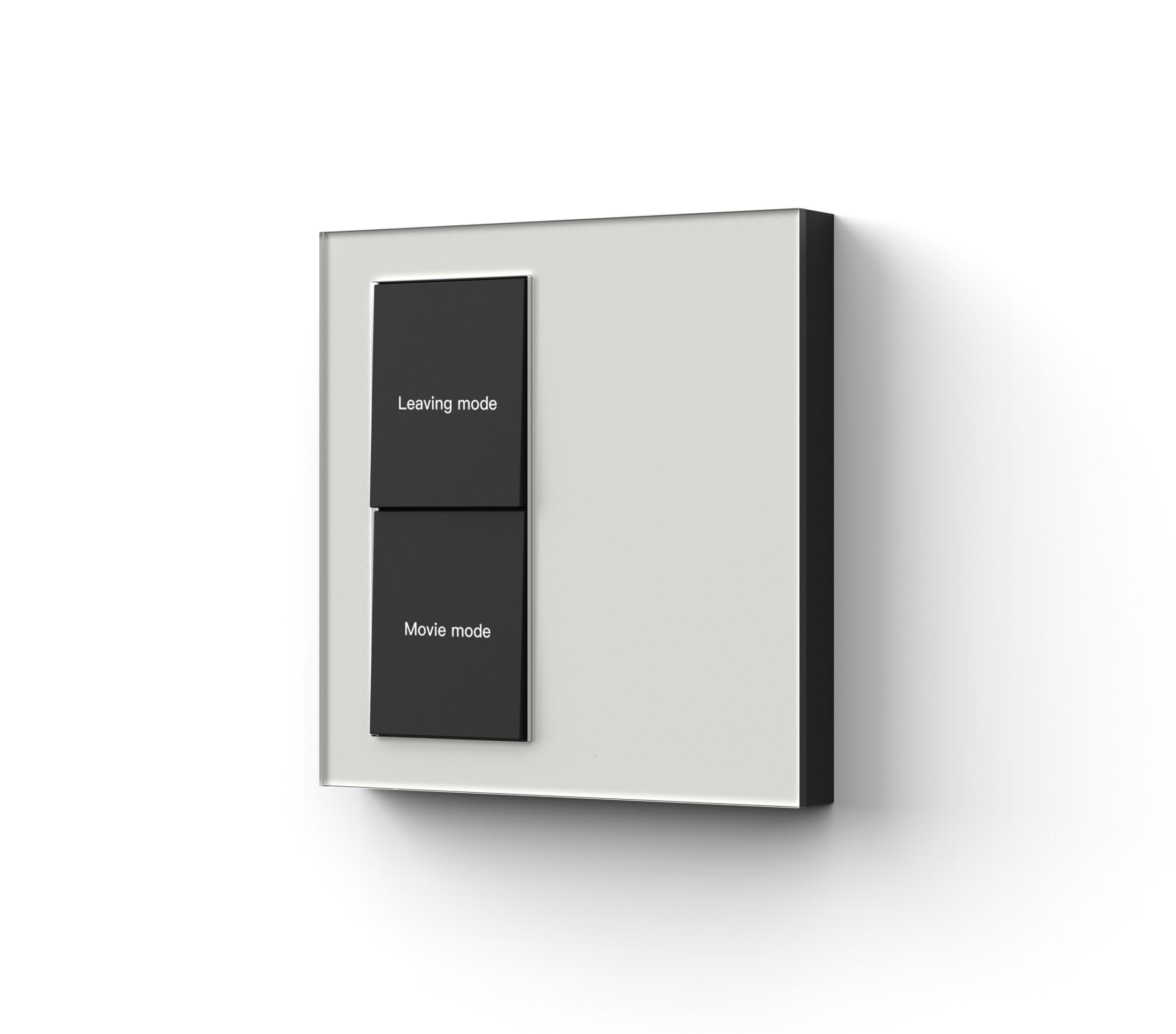 D1 2-Button Switch - Casambi
